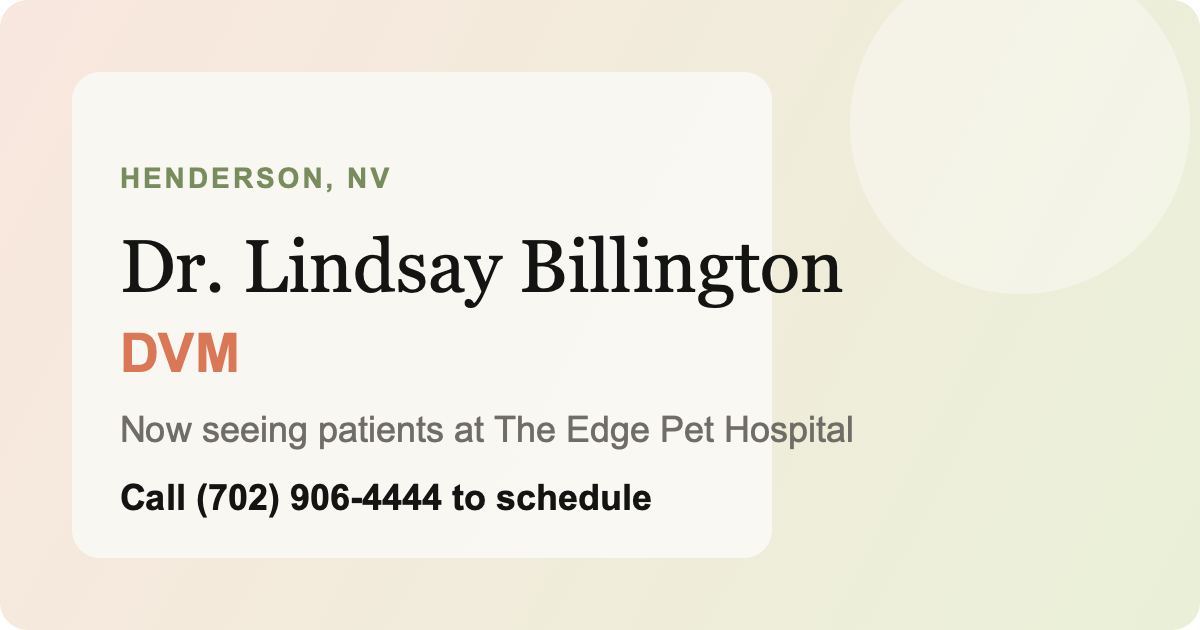 Dog Ear Infections: Symptoms, Treatment & Prevention Guide